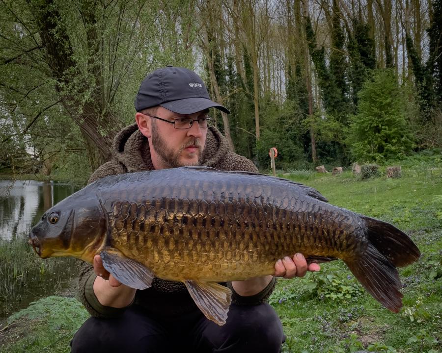 Dark Common | Total Carp
